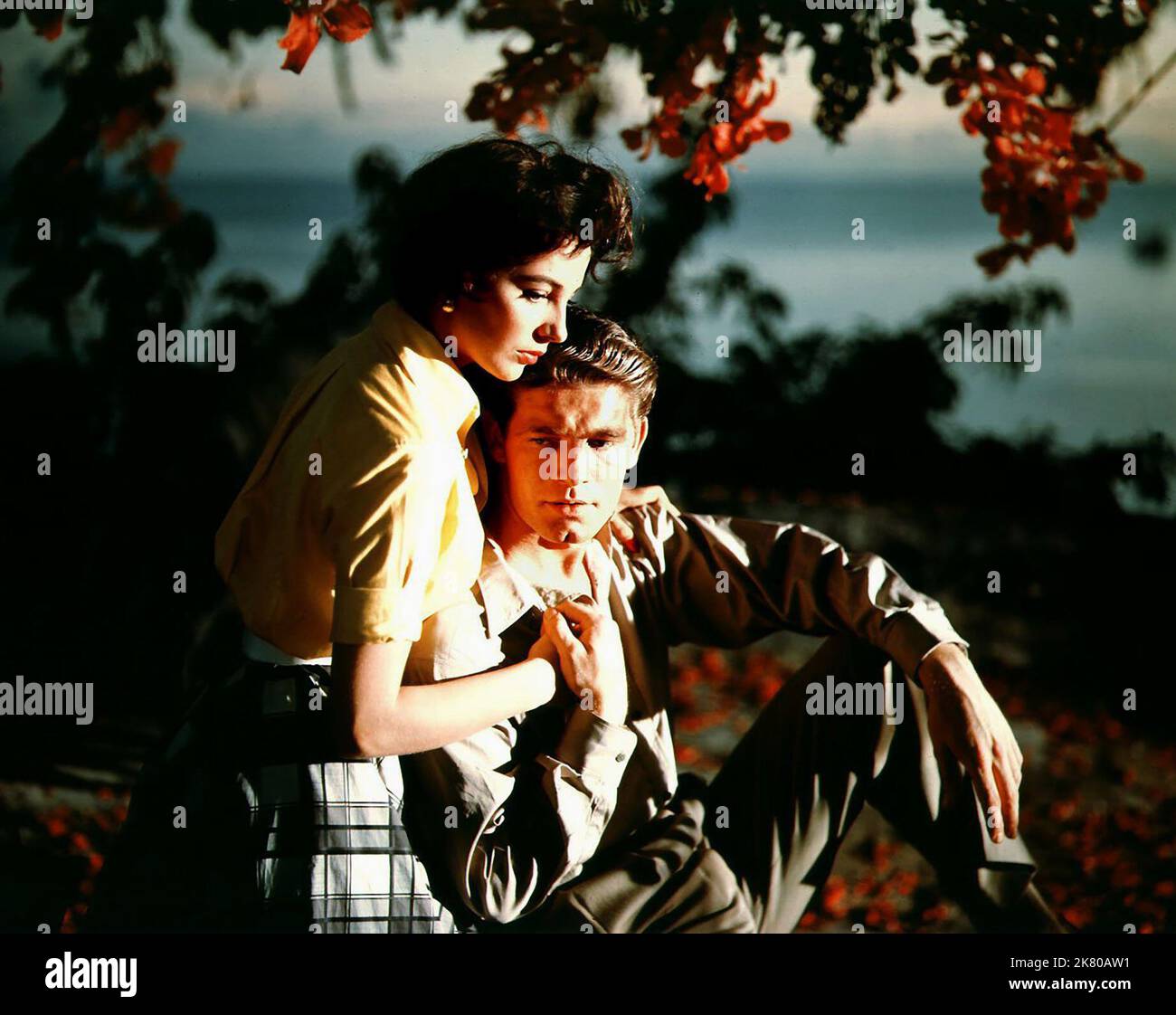 Joan Collins & Stephen Boyd Film Island In The Sun (1954) Characters ...