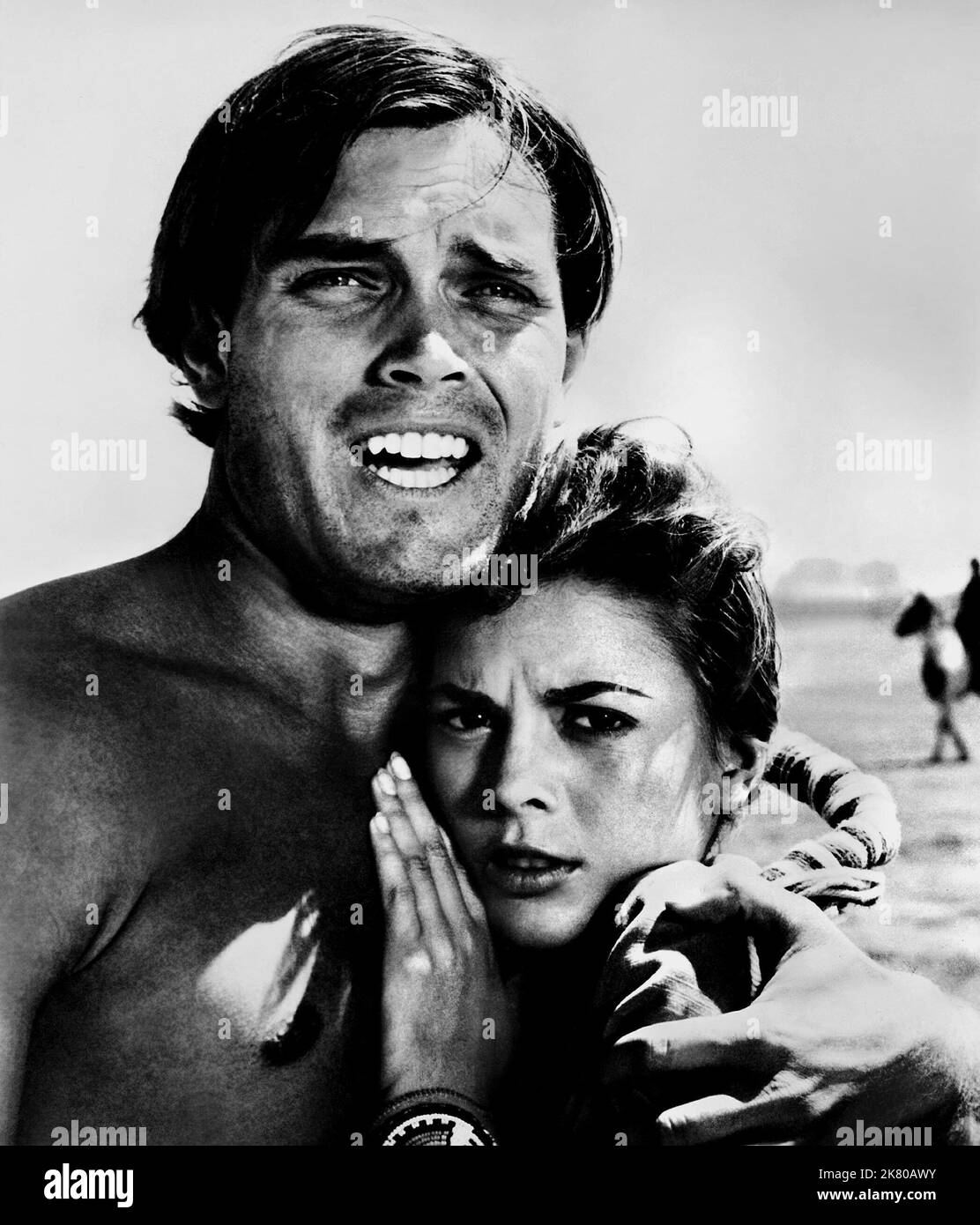 Natalie Ford's Instagram, Twitter & Facebook on IDCrawl