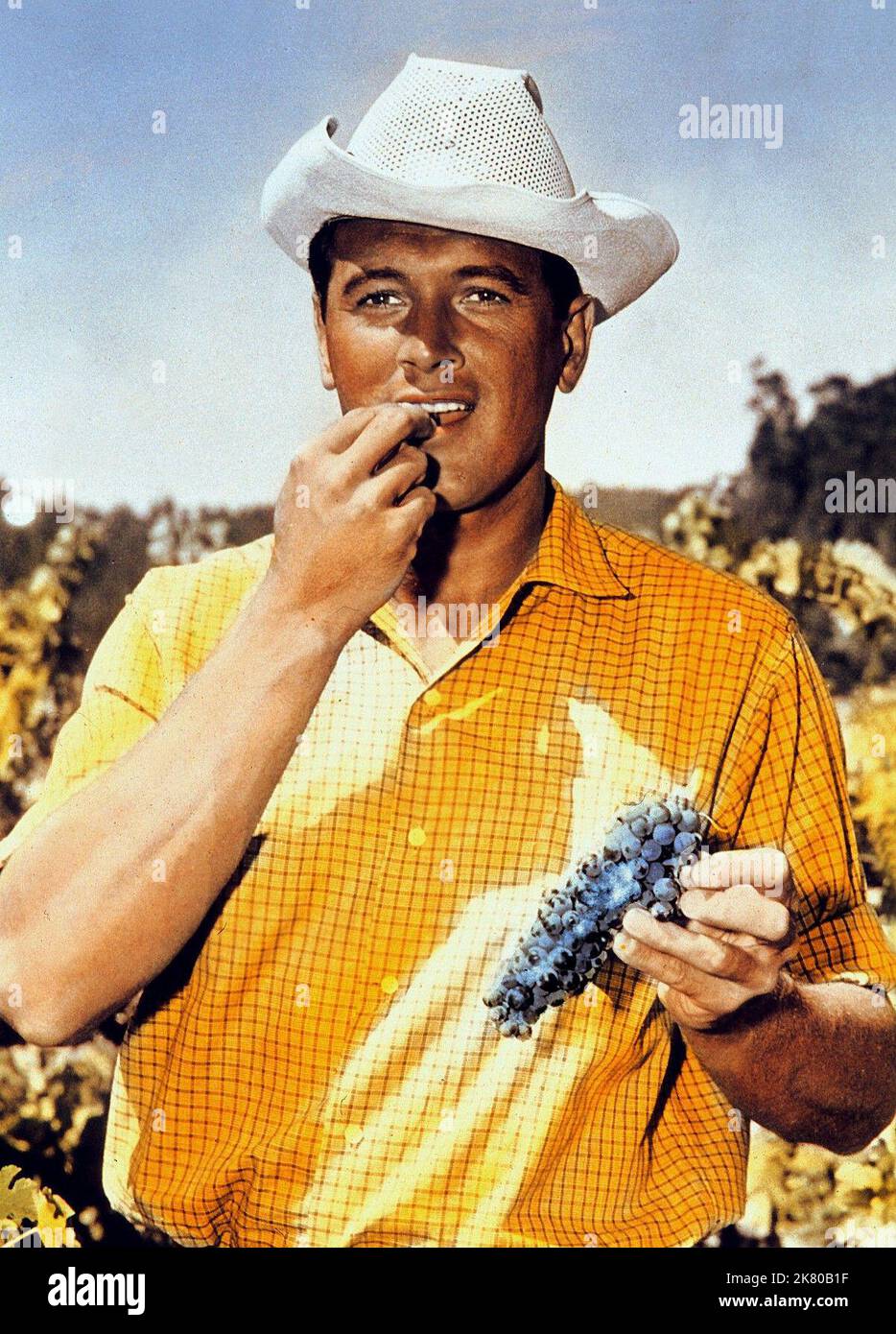 Rock Hudson Film This Earth Is Mine (1952) Characters: John Rambeau ...