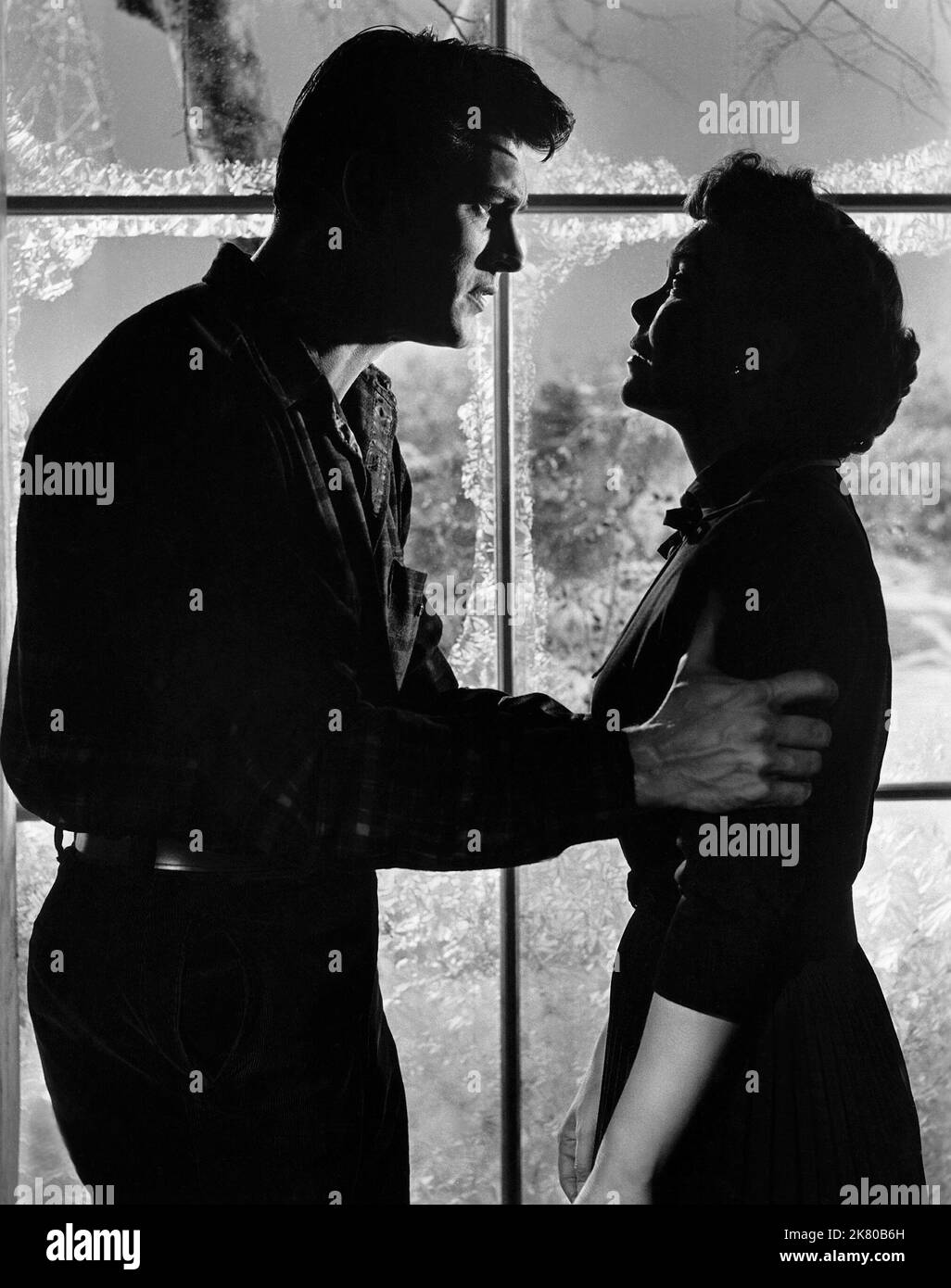 Rock Hudson & Jane Wyman Film All That Heaven Allows (1955) Characters ...