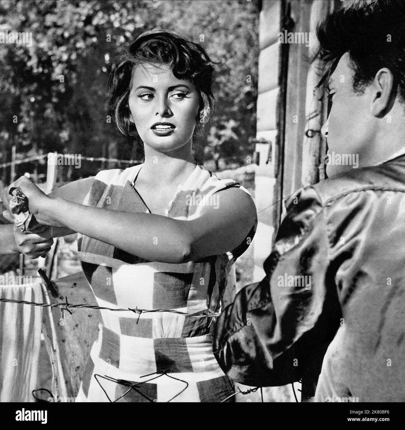 Sophia Loren Film The River Girl (La donna del fiume) Characters: Nives ...