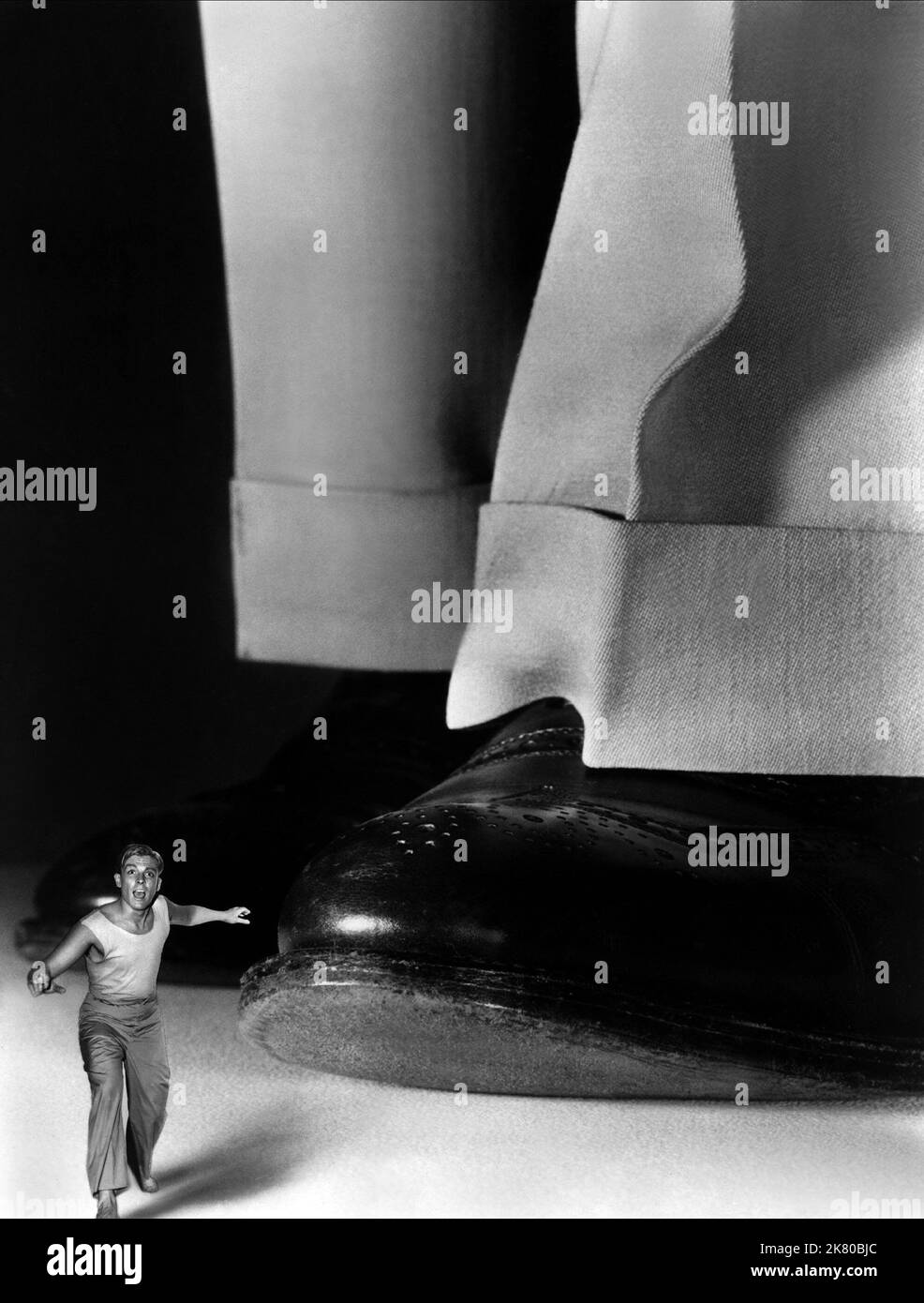 Grant Williams Film The Incredible Shrinking Man (1957) Characters ...