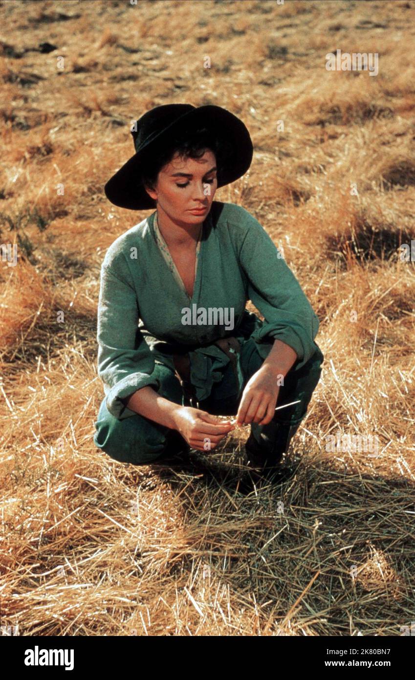 Jean Simmons Big Country True And False Masculinity In 'The Big