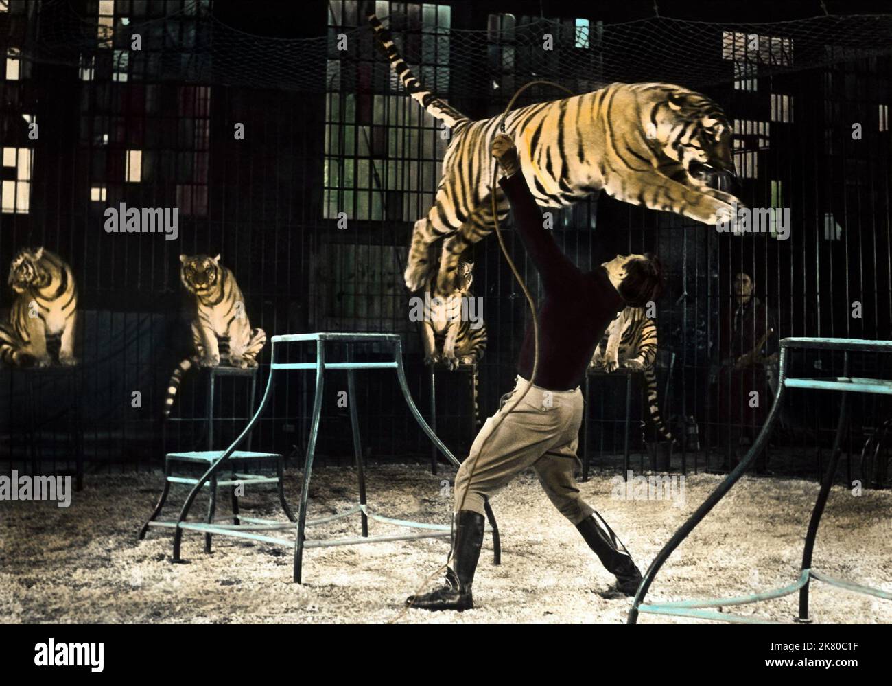 Gerhard Riedmann Film Hippodrome (1959) Characters: Ruda ...