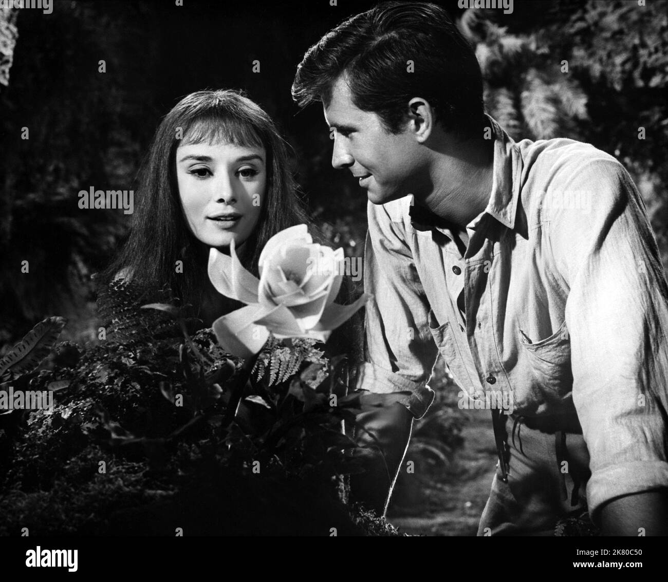 Anthony Perkins & Audrey Hepburn Film Green Mansions (1959) Characters: Abel, Rima Director: Mel ...