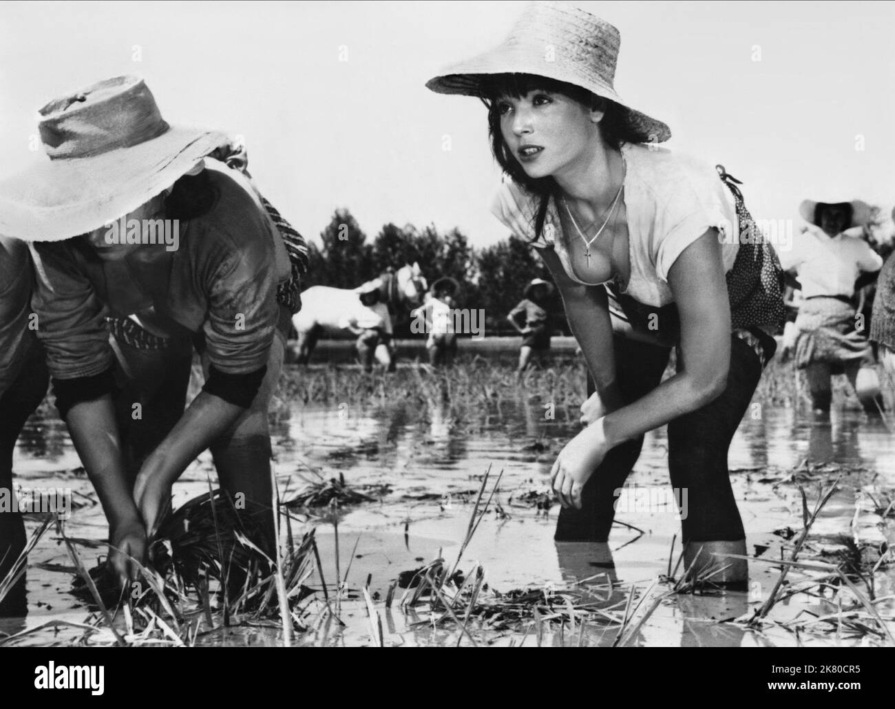 Elsa martinelli director hi-res stock photography and images - Alamy