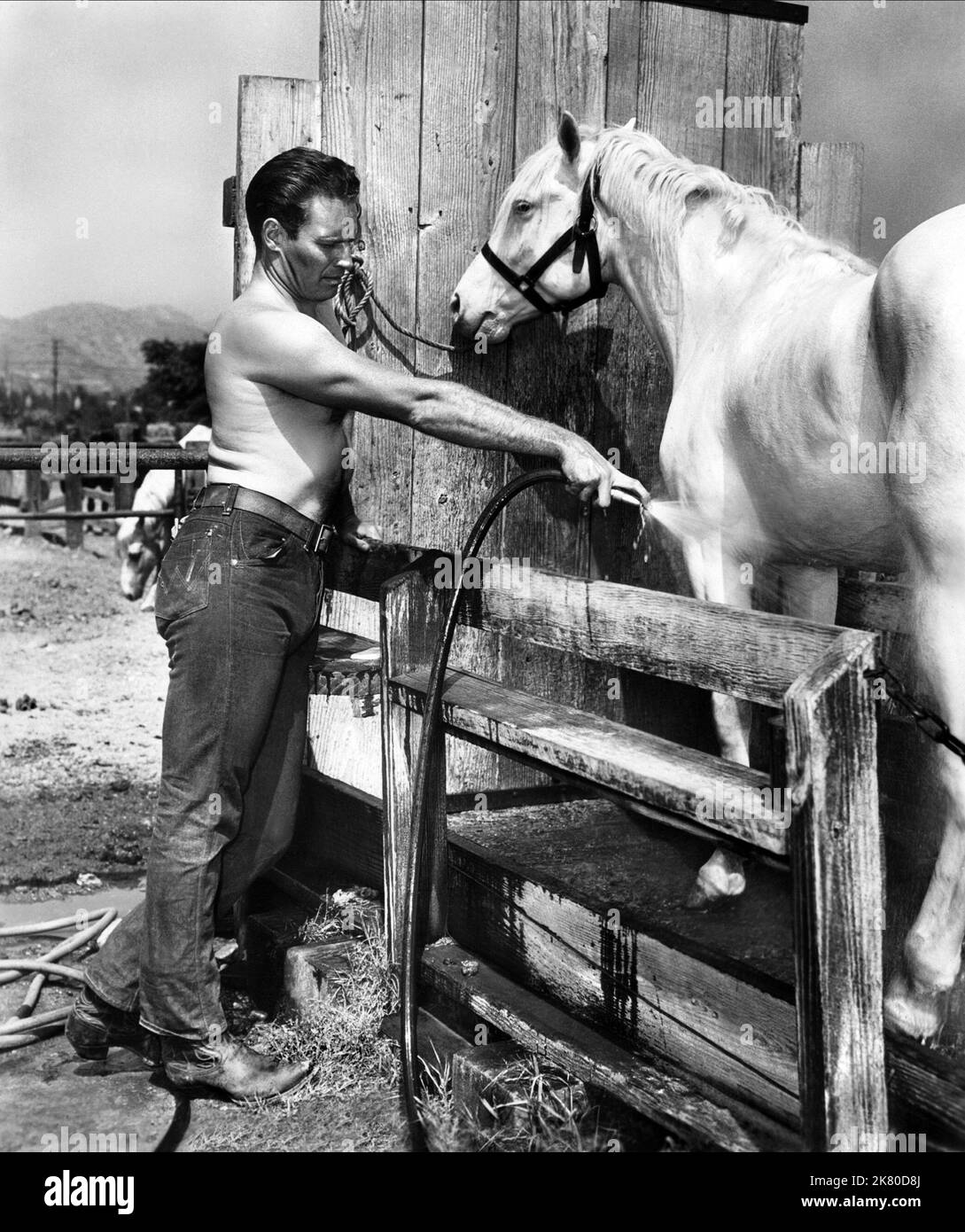 Charlton Heston Film Pony Express (USA 1953) Characters: Captain ...