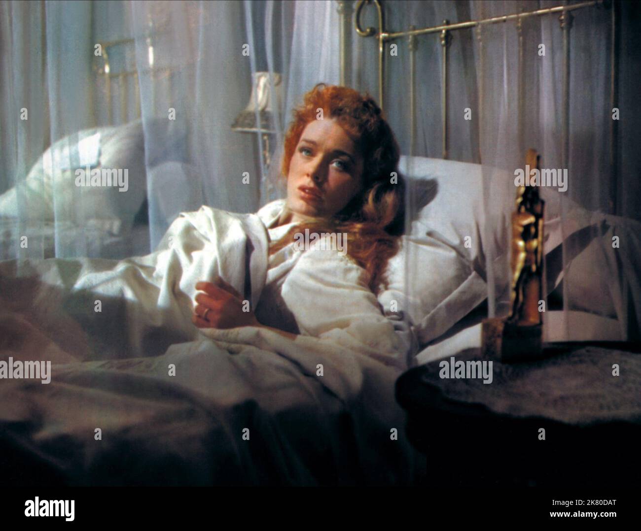 Eleanor Parker Film Valley Of The Kings (1952) Characters: Ann Barclay ...