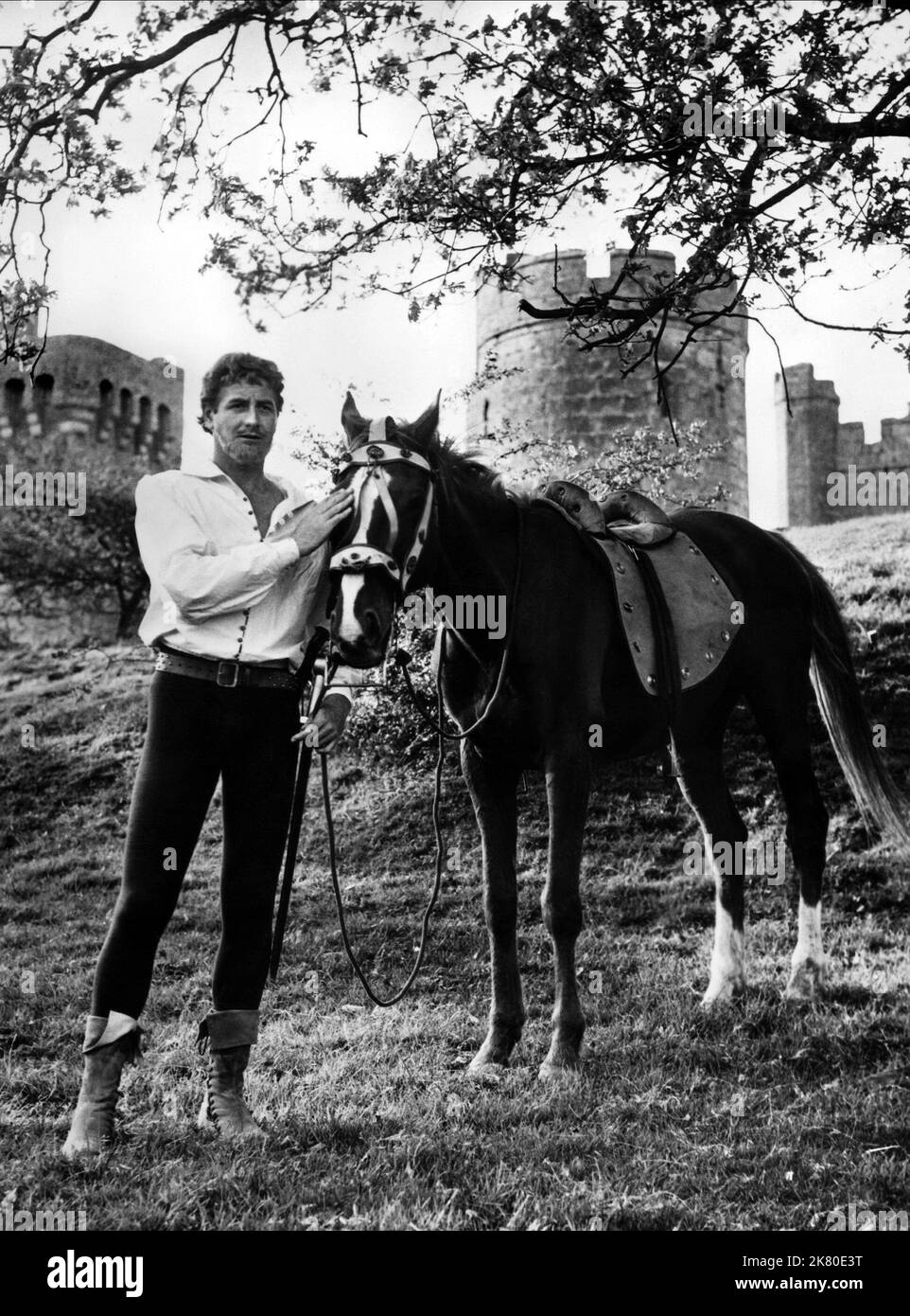 Don Taylor Film: The Men Of Sherwood Forest (1954) Characters: Robin ...