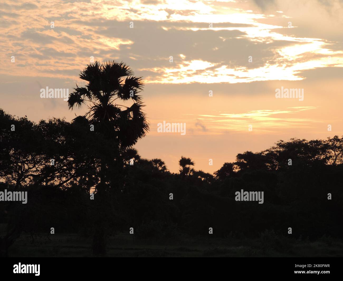 Beautiful landscape shorts in Sri Lanka Stock Photo - Alamy