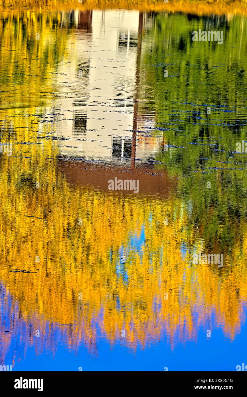 A vertical image of fall colors of the deciduous leaves reflecting on ...
