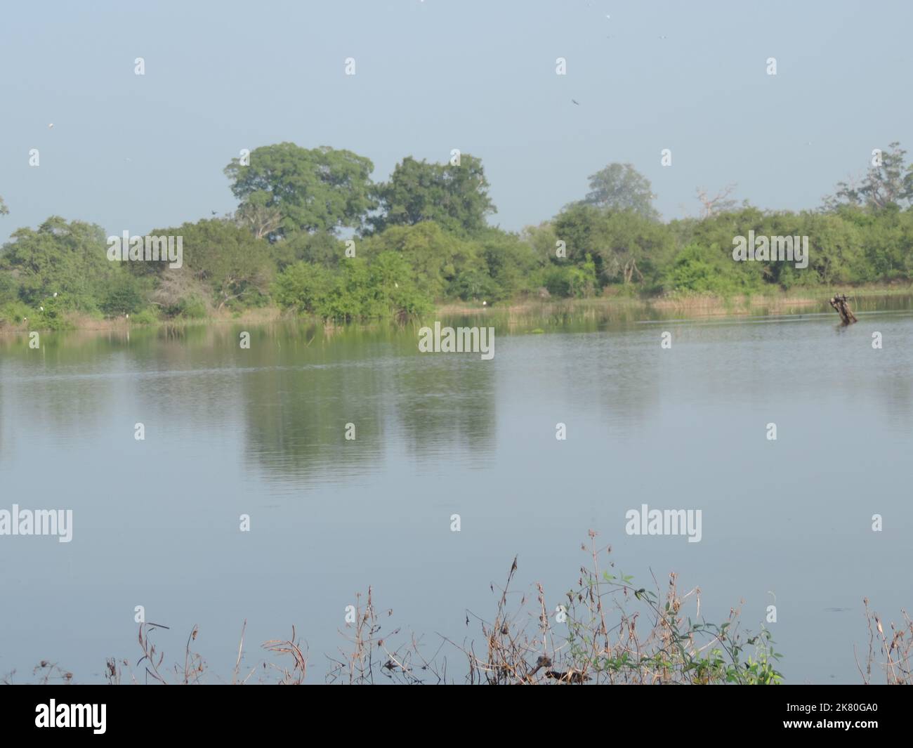 Beautiful landscape shorts in Sri Lanka Stock Photo - Alamy