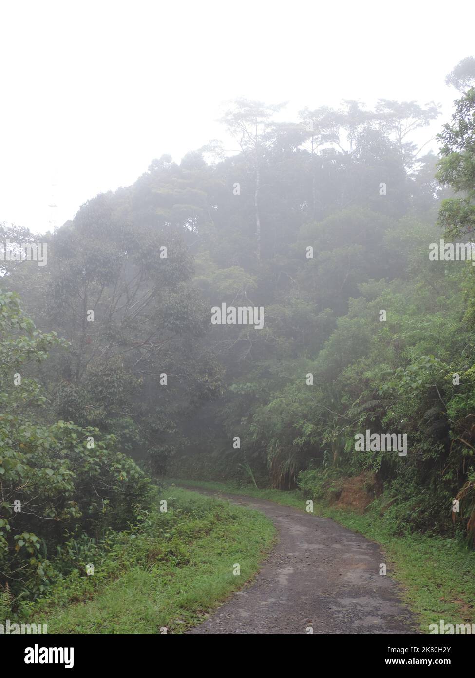 Beautiful landscape shorts in Sri Lanka Stock Photo - Alamy