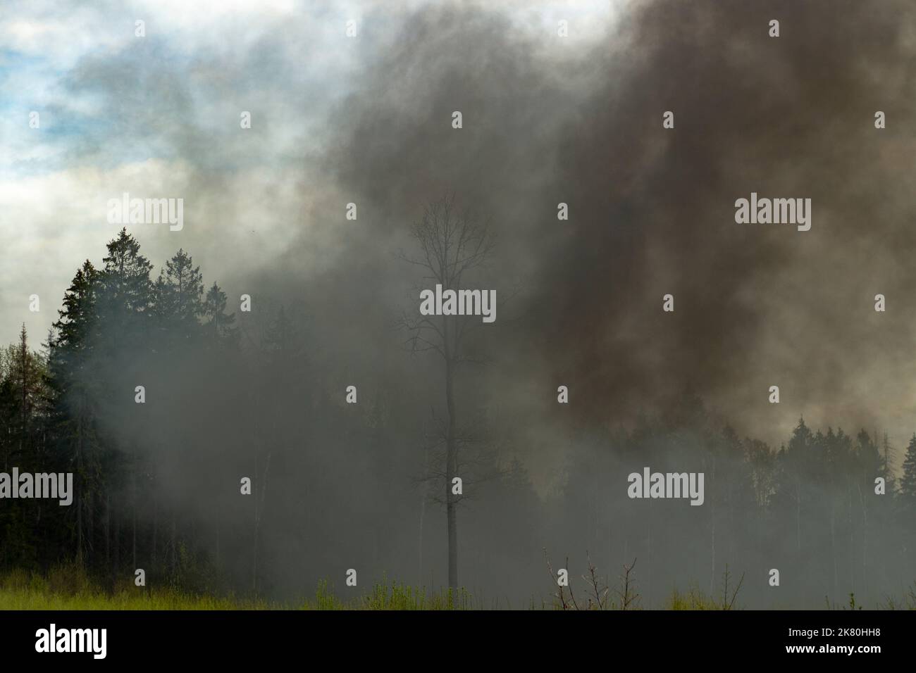 Fire in street. Smoke and fire. Landfill is burning. Environmental ...