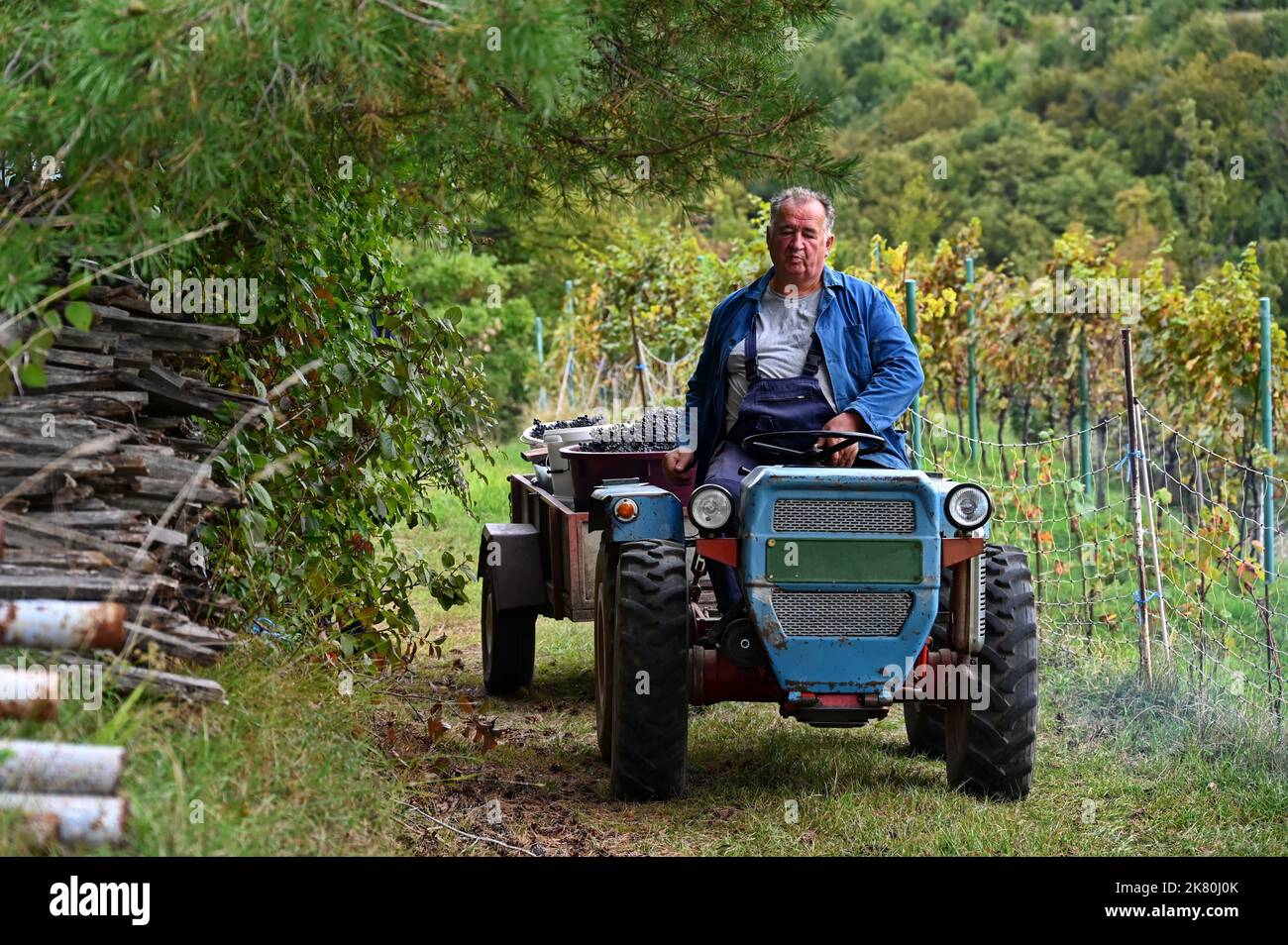 Driving tractor and trailer hi-res stock photography and images - Alamy