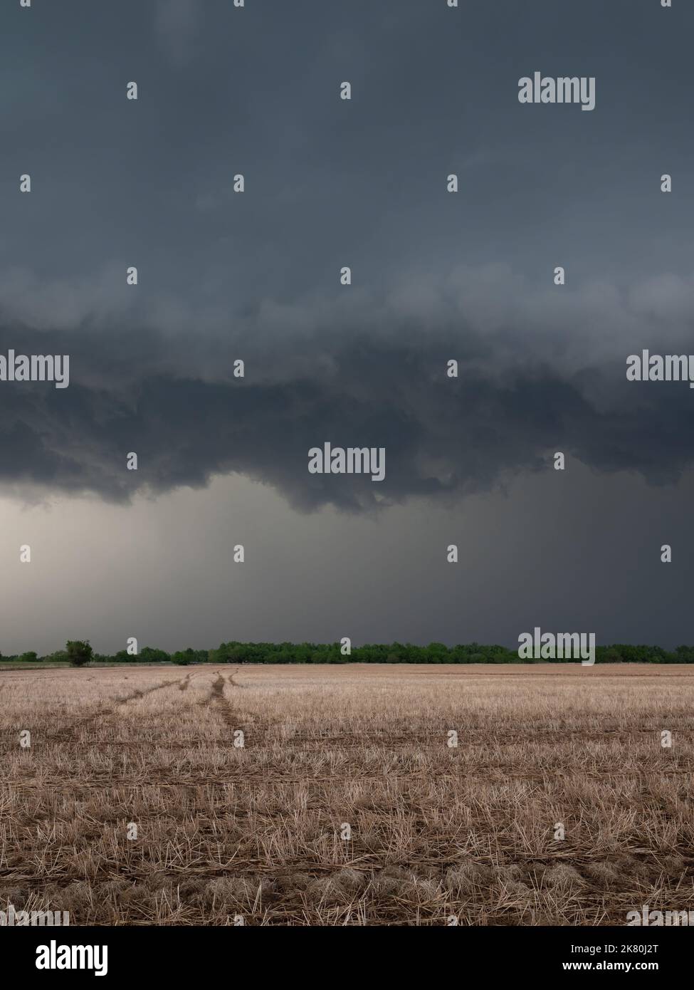 Vertical photo of heavy, gray storm clouds hanging over a stubble field ...