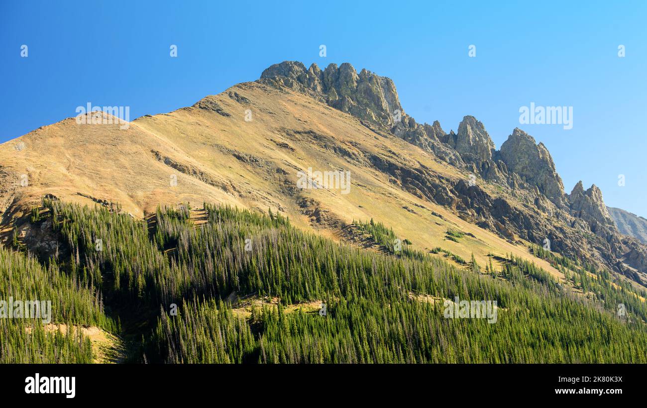 The Crags at Colorado State Forest Stock Photo - Alamy