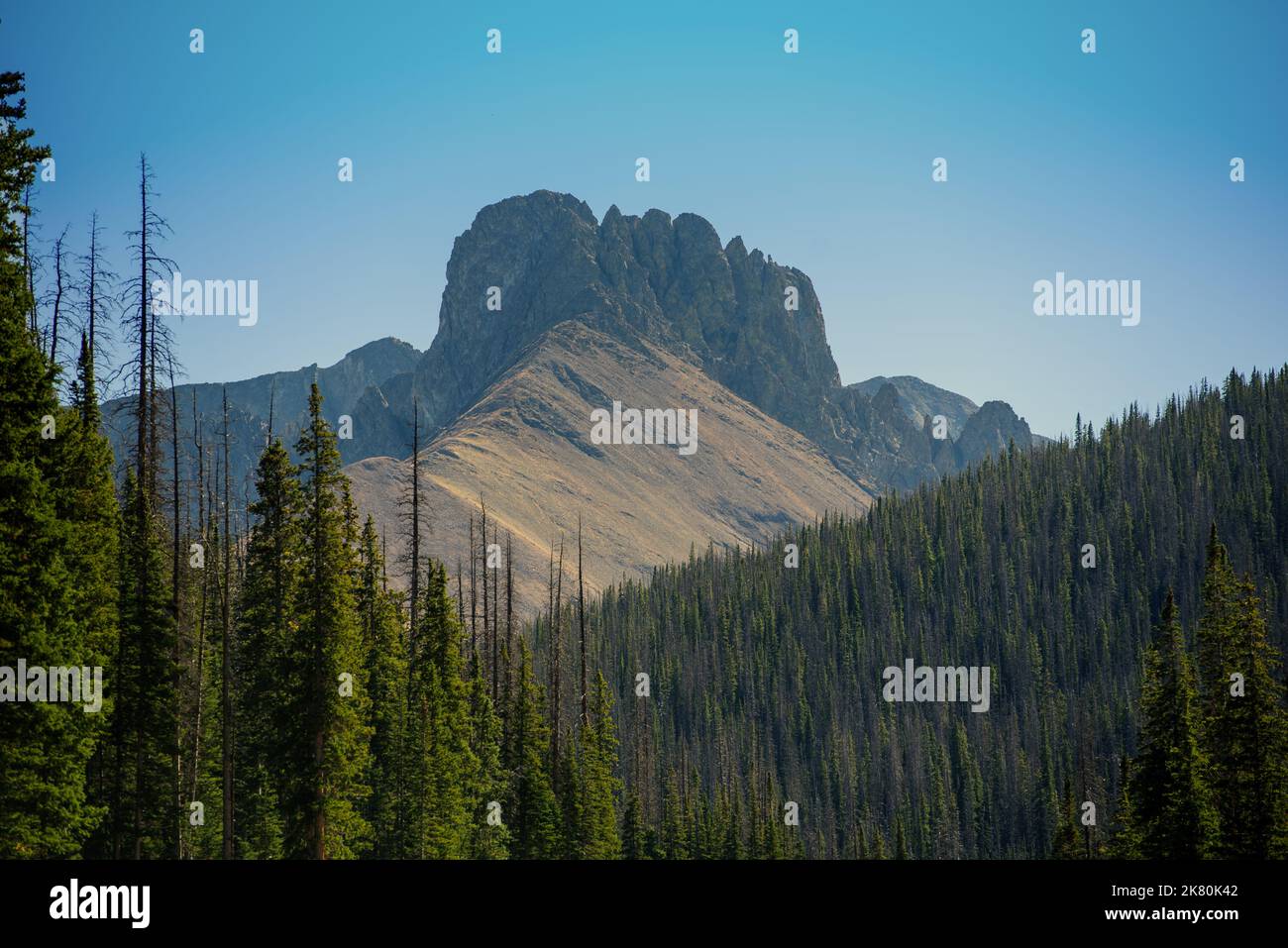 The Crags at Colorado State Forest Stock Photo - Alamy