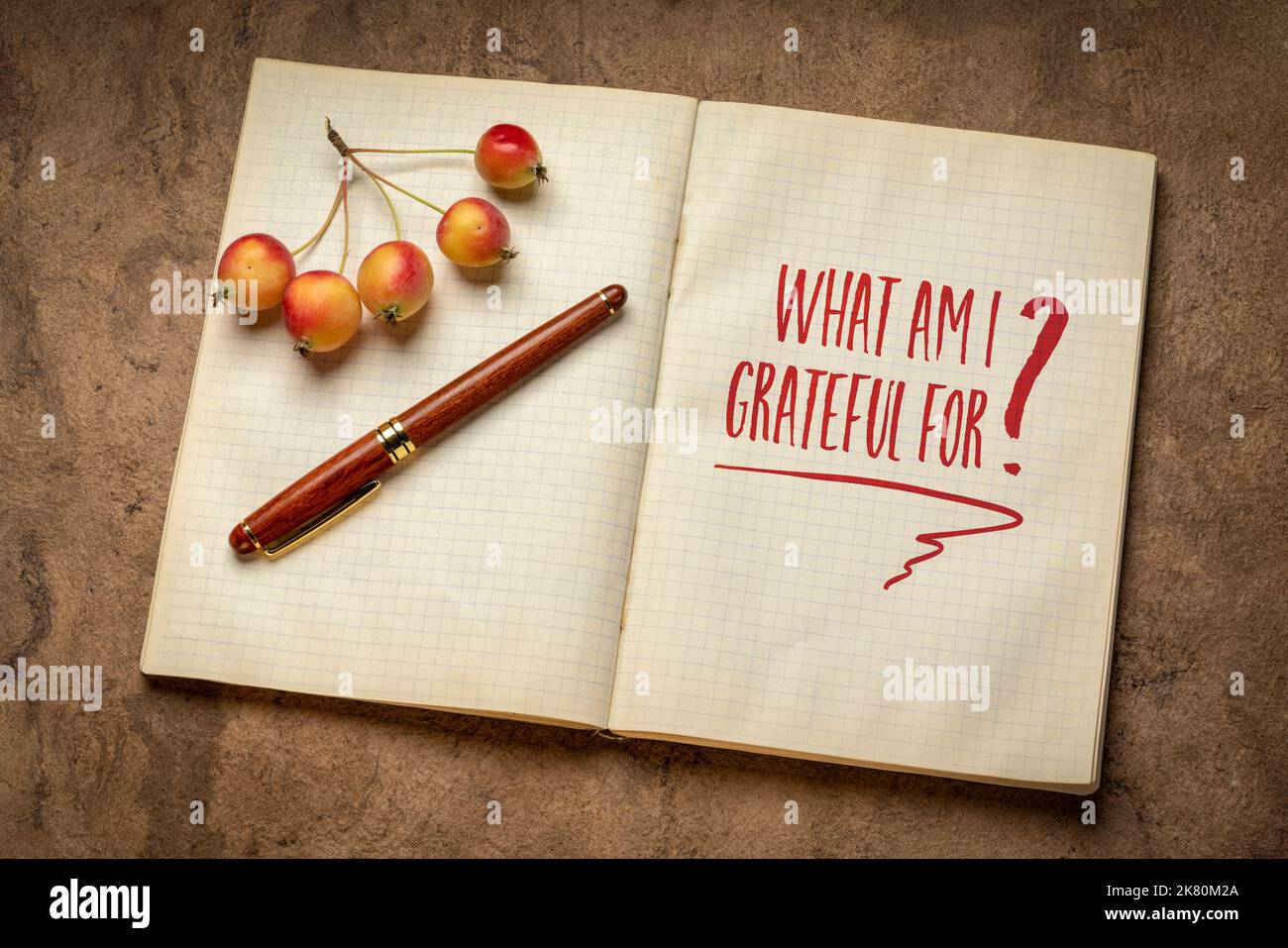 What am I grateful for? Handwritten question in an old notebook or ...