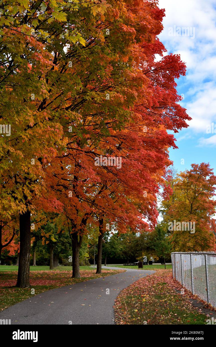 Massey park hi-res stock photography and images - Alamy