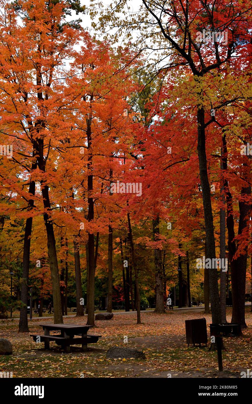 Vincent massey hi-res stock photography and images - Alamy