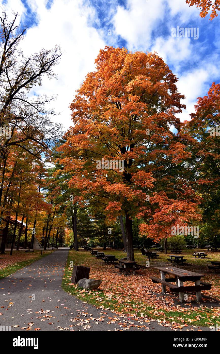 Autumn, Vincent Massey Park, Ottawa Stock Photo - Alamy