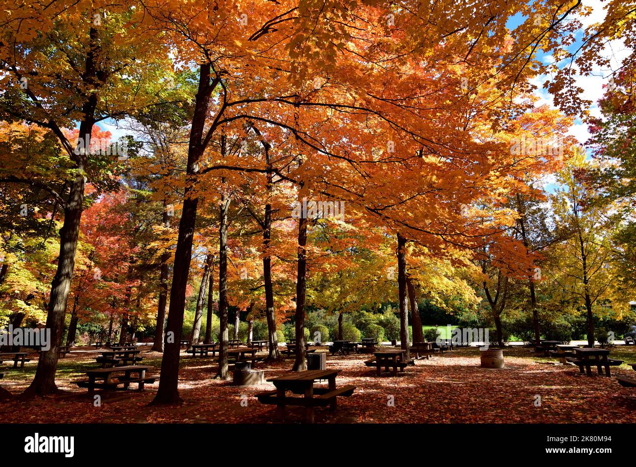 Autumn, Vincent Massey Park, Ottawa Stock Photo - Alamy