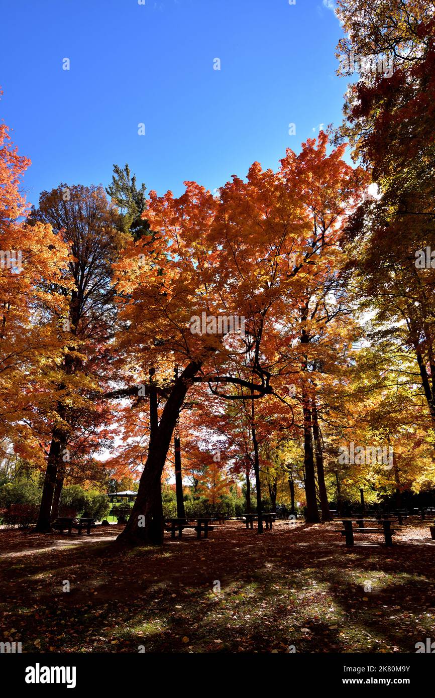 Vincent massey hi-res stock photography and images - Alamy