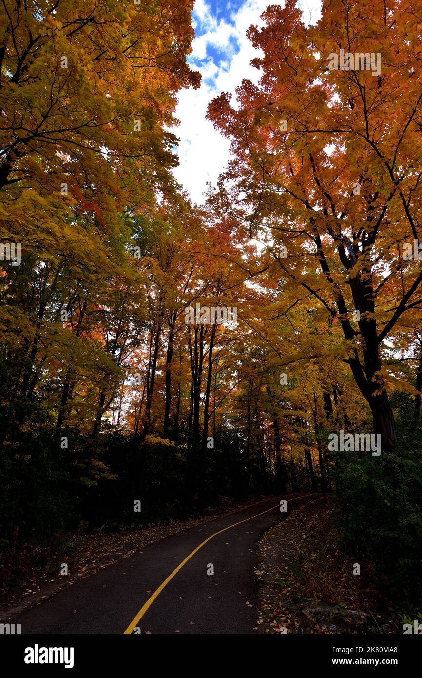 Autumn, Vincent Massey Park, Ottawa Stock Photo - Alamy