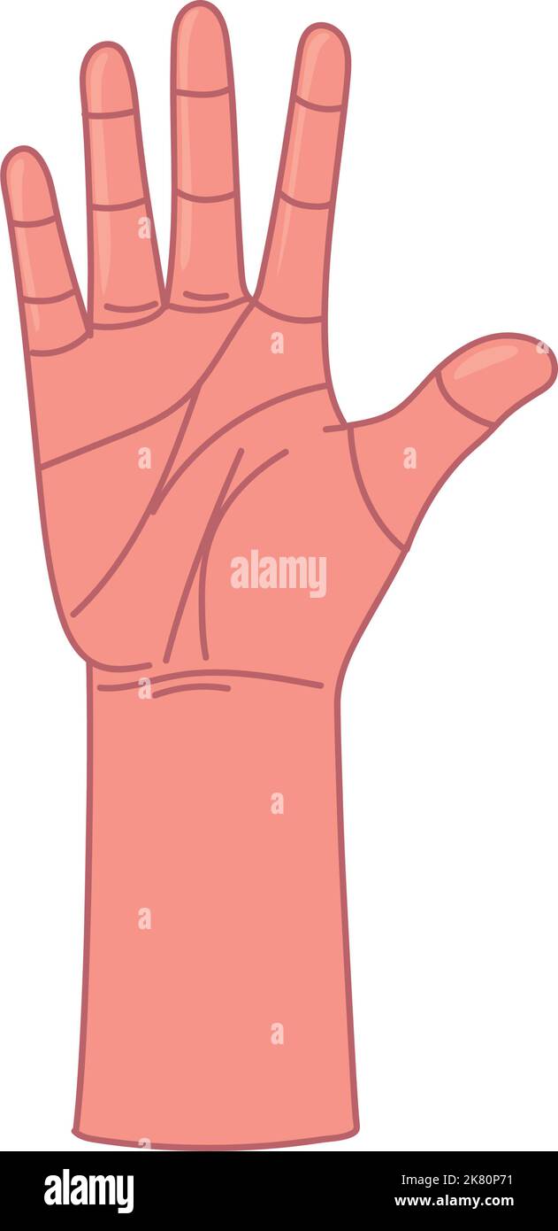 raised open hand Stock Vector Image & Art - Alamy