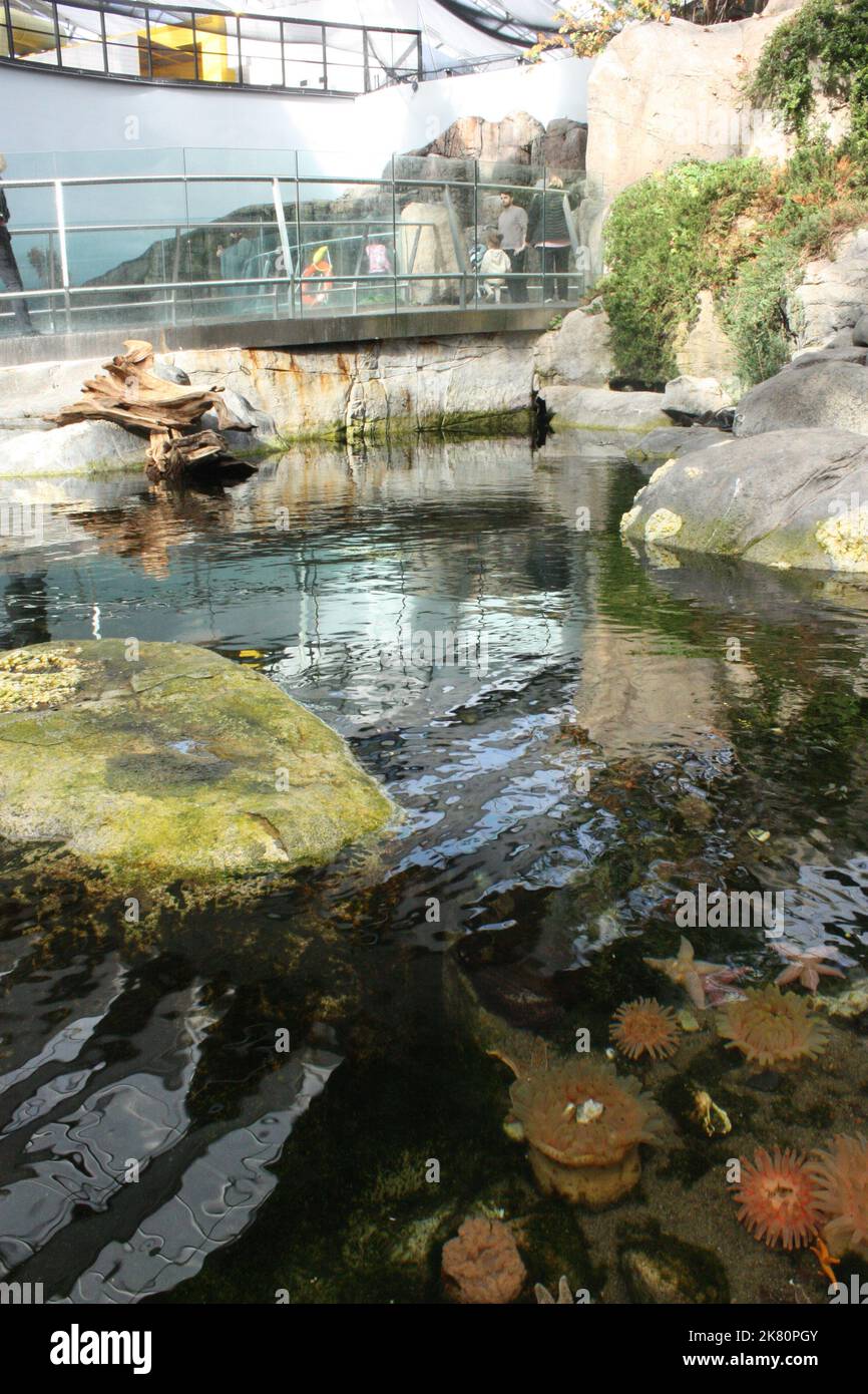 The Atlantic shoreline environment in the Biodome at the Olympic Park ...