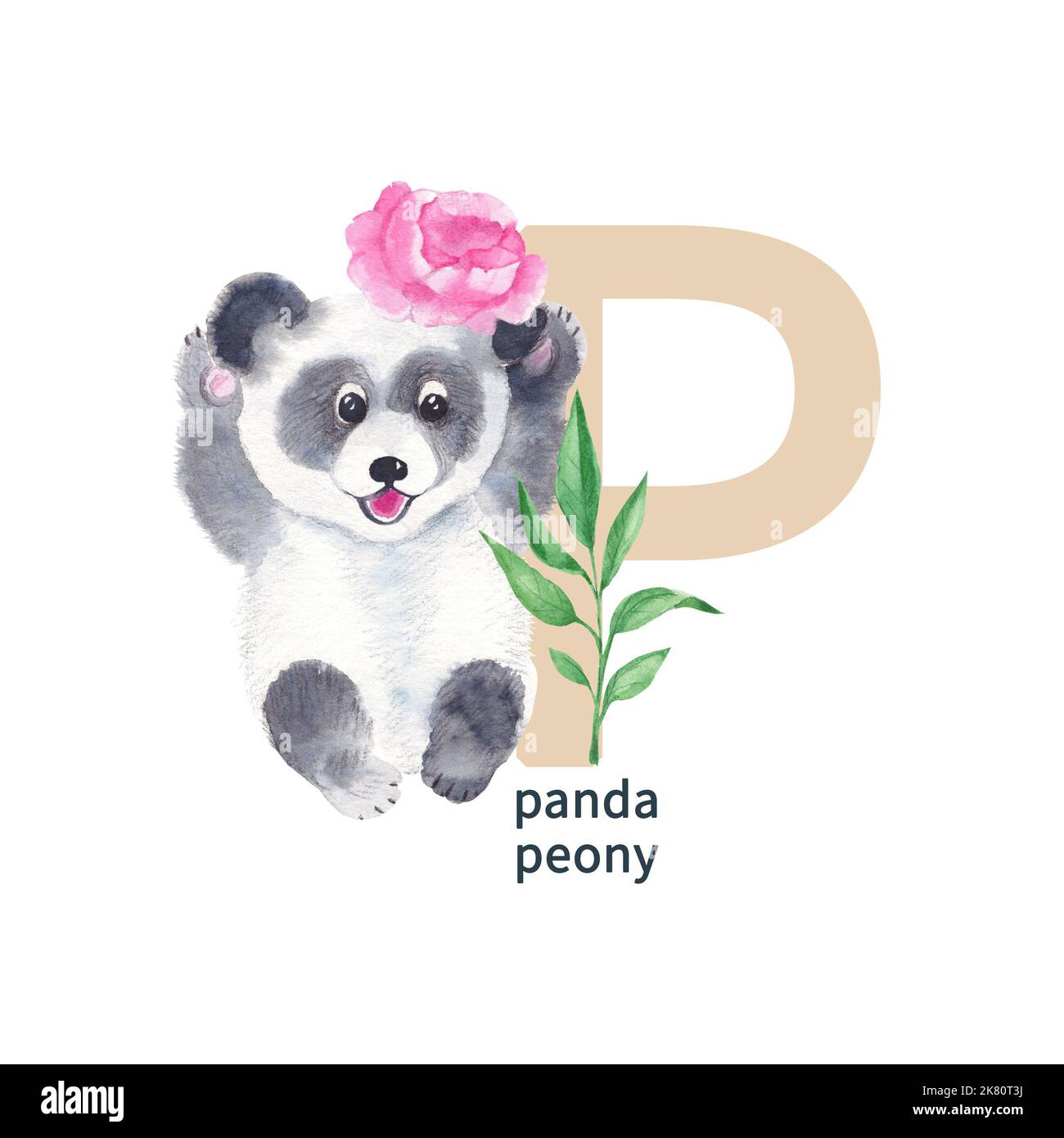 Letter P, panda and peony, cute kids animal and flower ABC alphabet ...