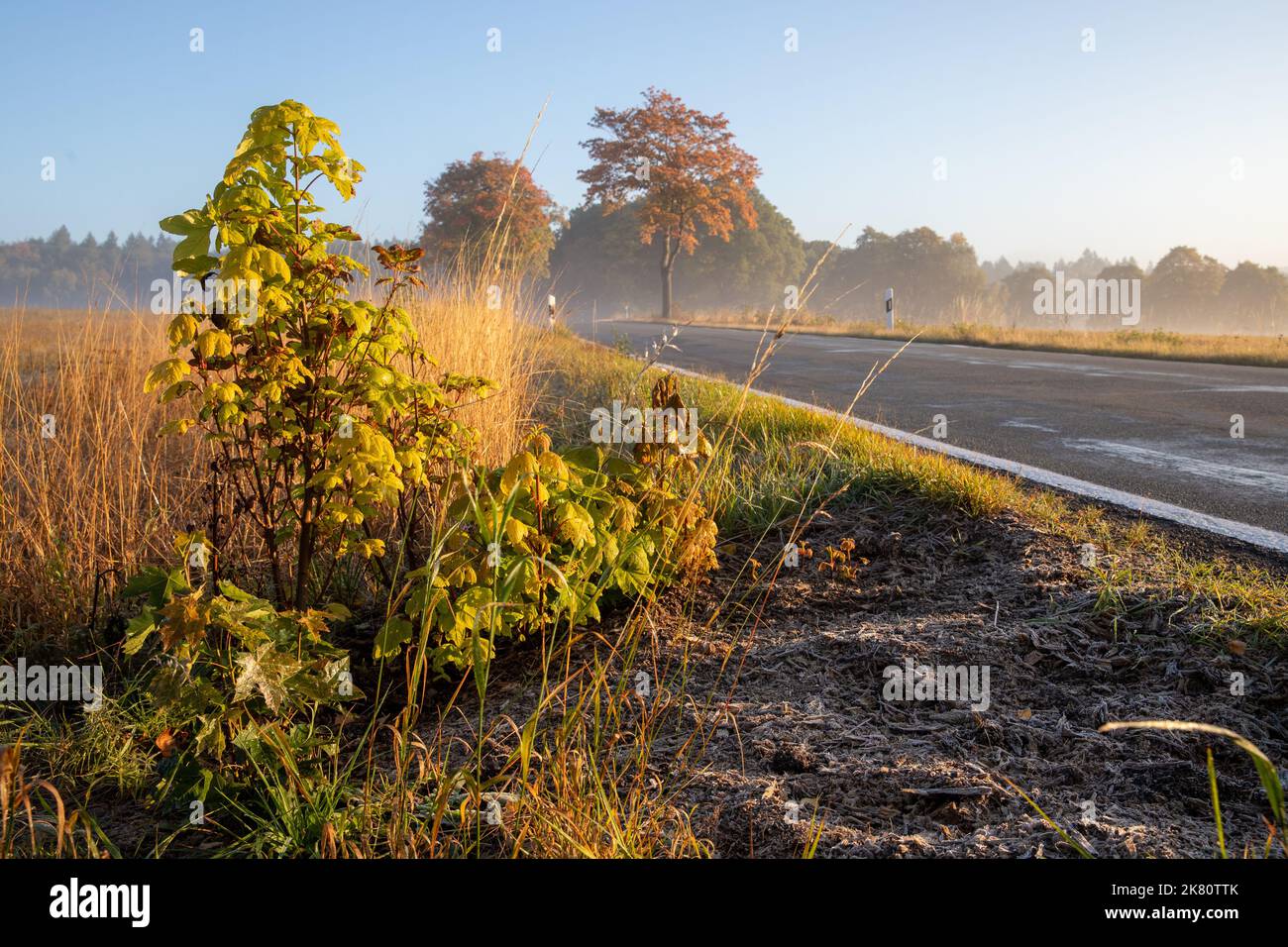 Wunderschone Rosenheimer Landstrae Ottobrunn Ebenbild