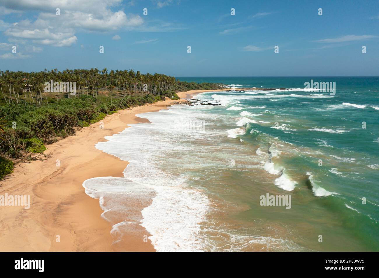 Top view of Beautiful sandy beach with palm trees and sea surf with ...