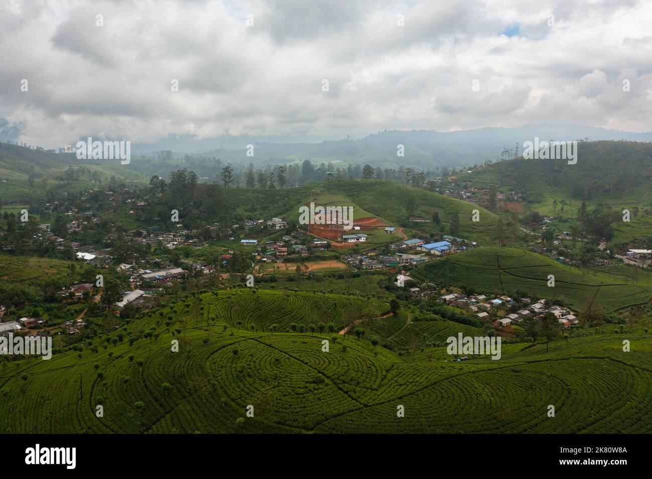 Aerial view tea estate among hi-res stock photography and images - Alamy