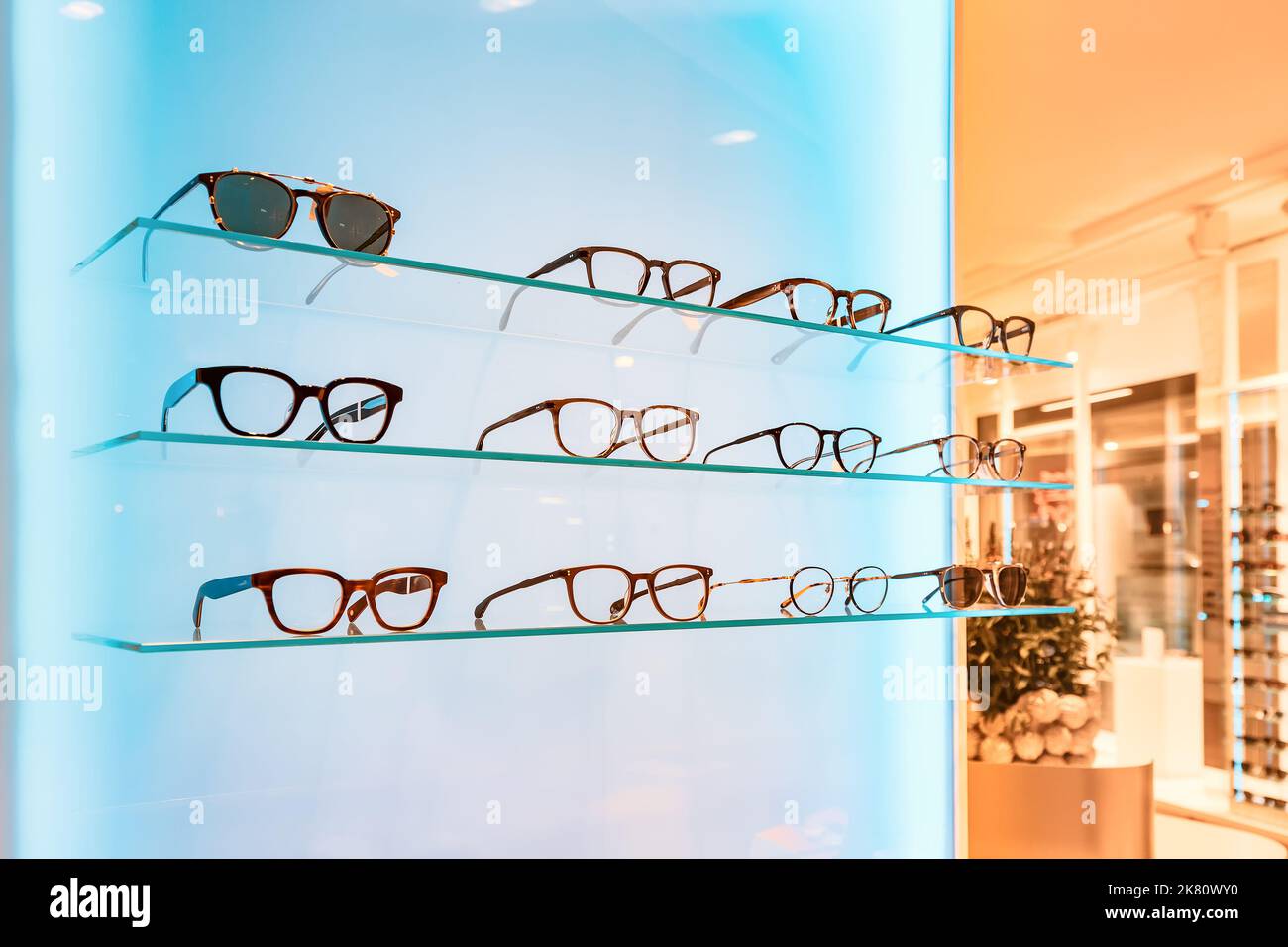 An ophthalmological and optical store with an assortment of various ...