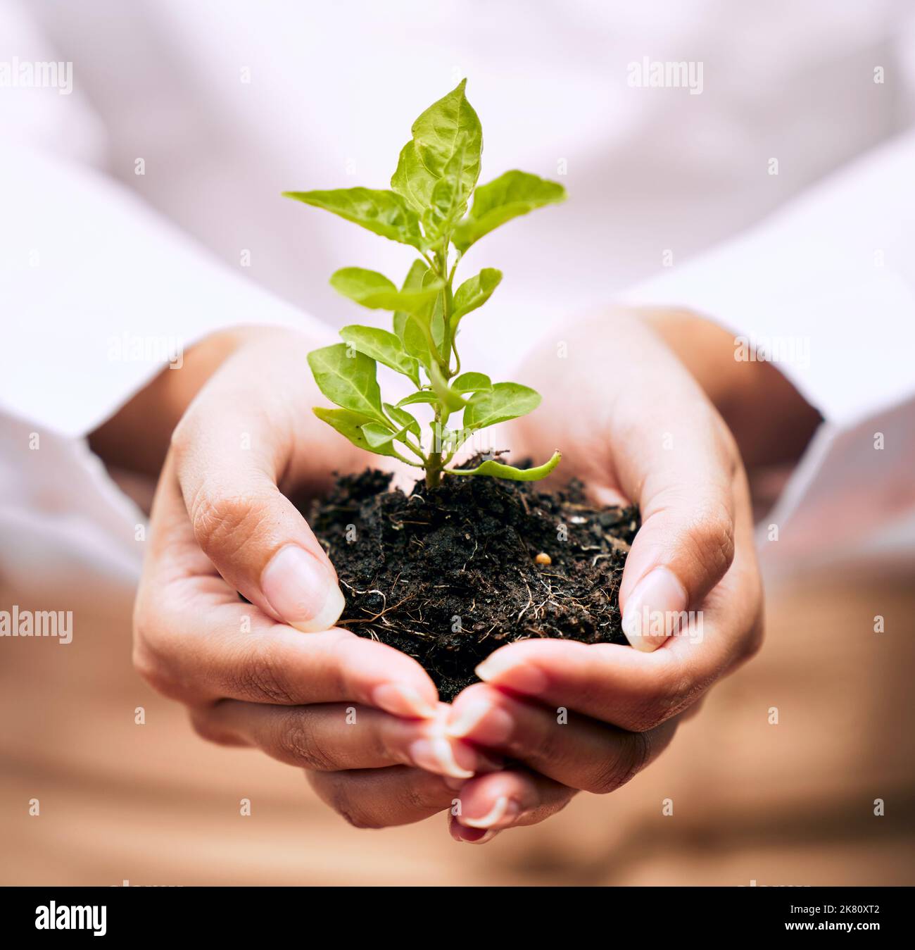 Growth is a beautiful journey. an unrecognizable businessperson holding ...