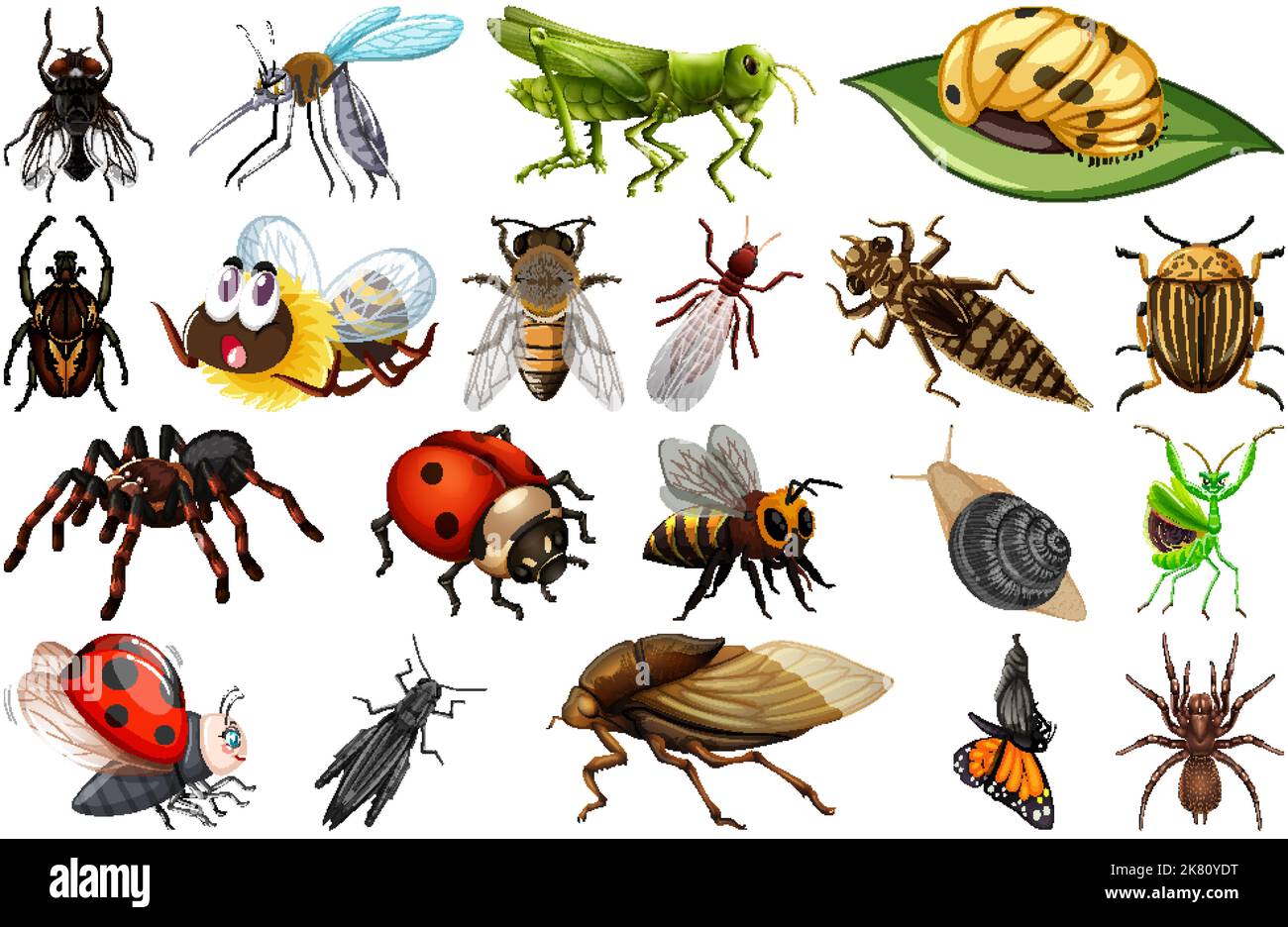 Different kinds of insects collection illustration Stock Vector Image ...