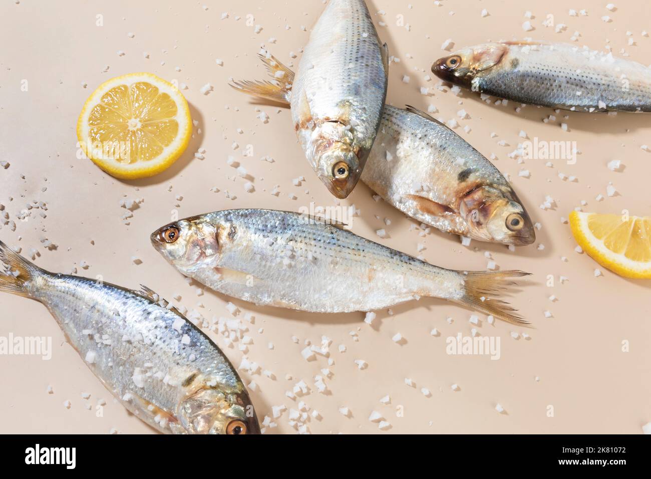 salt and gizzard shad fish Stock Photo - Alamy