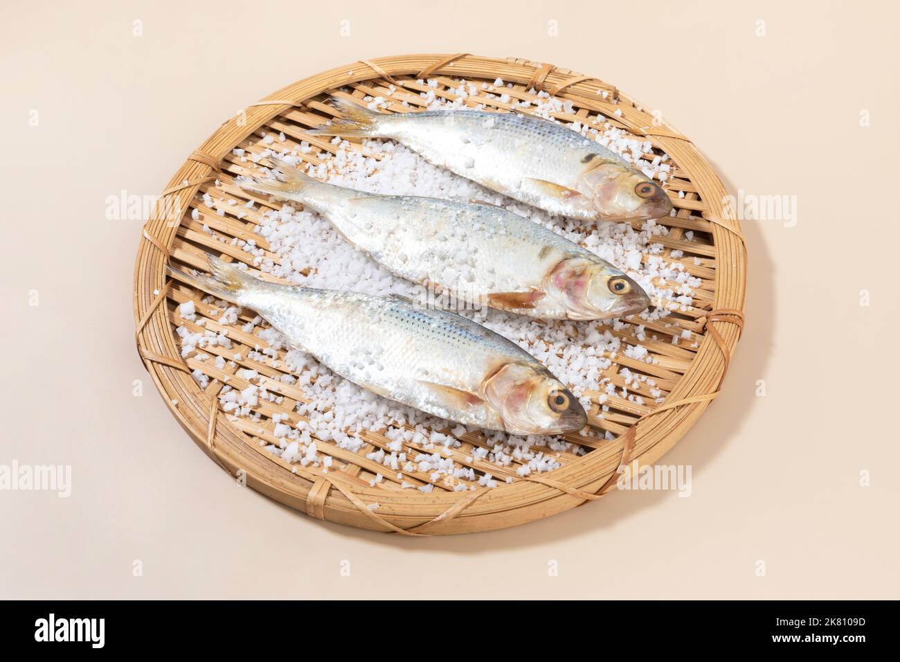 salt and gizzard shad fish Stock Photo - Alamy