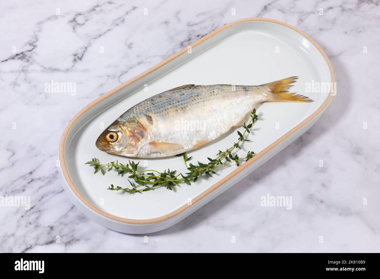 Shad fish hi-res stock photography and images - Alamy