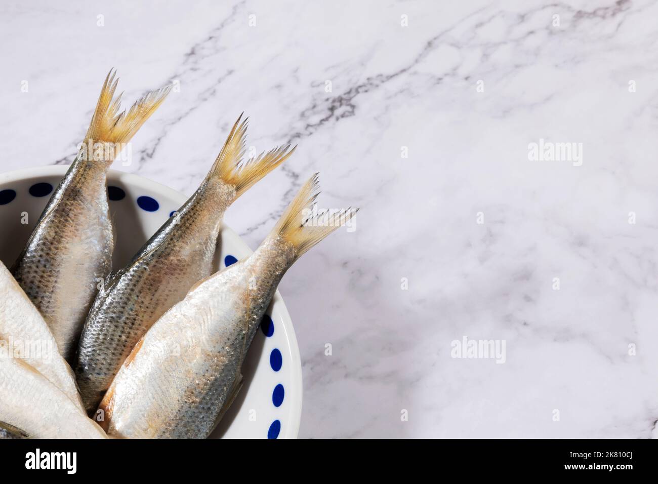 Shad fish hi-res stock photography and images - Alamy