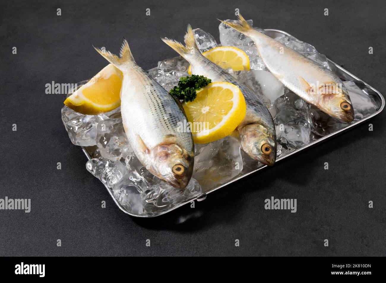 Shad Fish Recipes