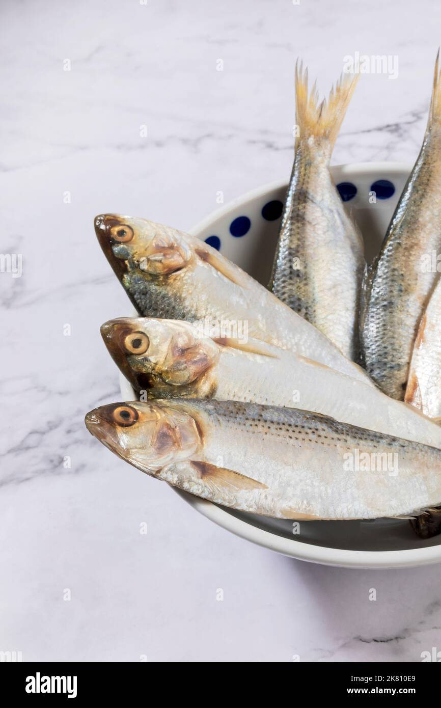 Shad fish hi-res stock photography and images - Alamy