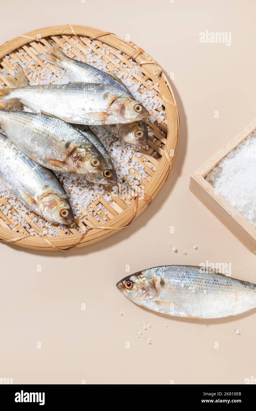 salt and gizzard shad fish Stock Photo - Alamy