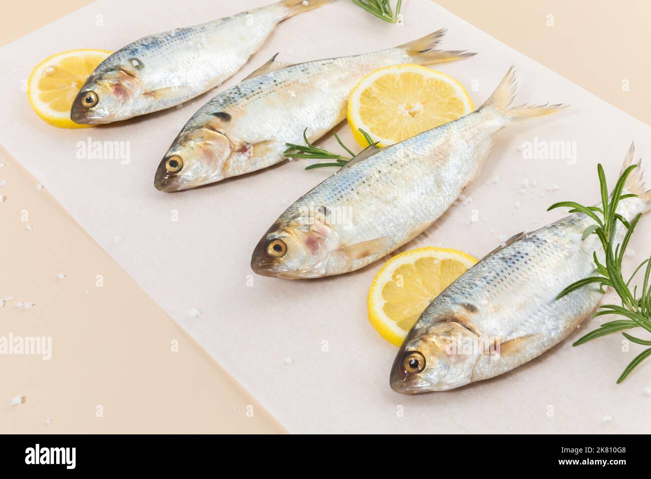 salt and gizzard shad fish Stock Photo - Alamy
