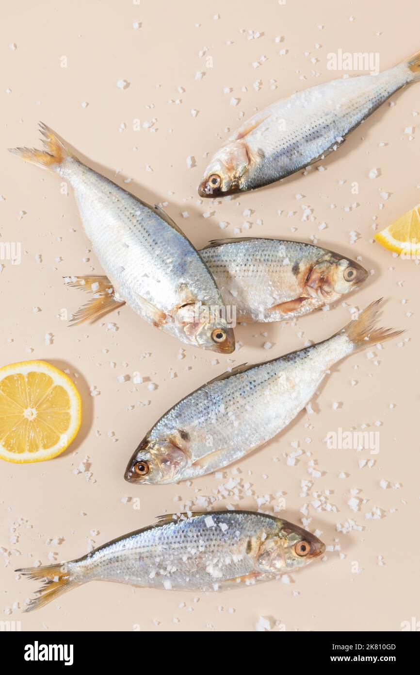 salt and gizzard shad fish Stock Photo - Alamy