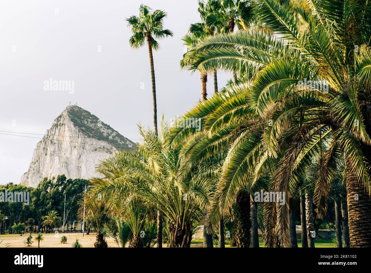 Rock of Gibraltar, view from La Línea de la Concepción. Famous Tree ...