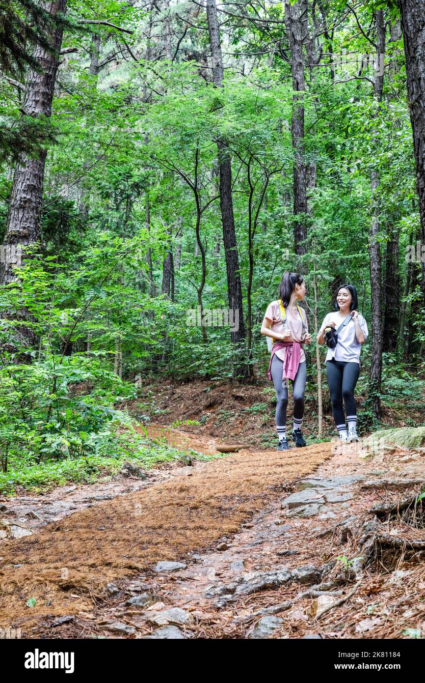 korean young women hiking and plogging trekking mountain Stock Photo ...