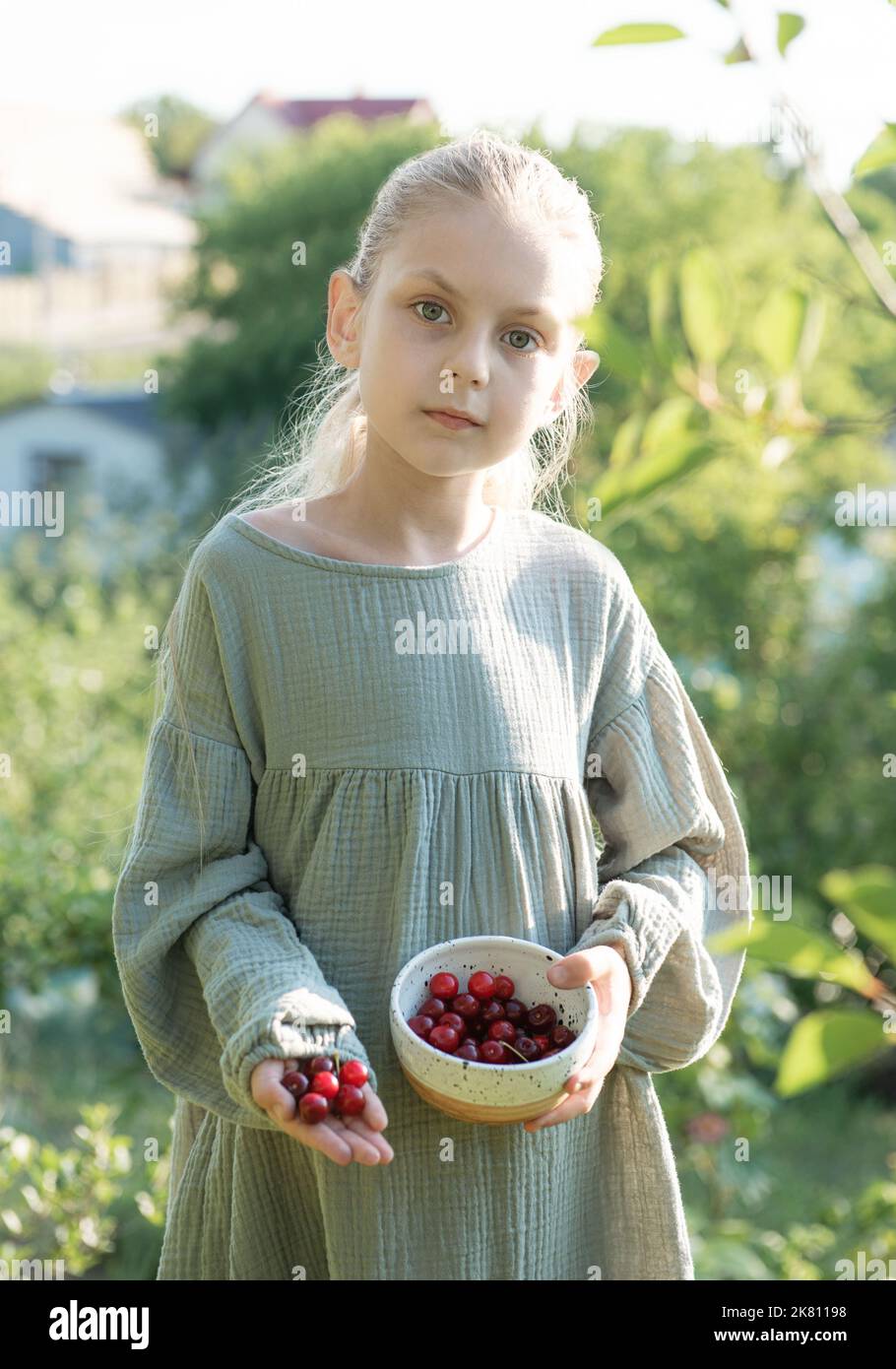 Little girl picking fresh cherry berry in the garden Stock Photo - Alamy